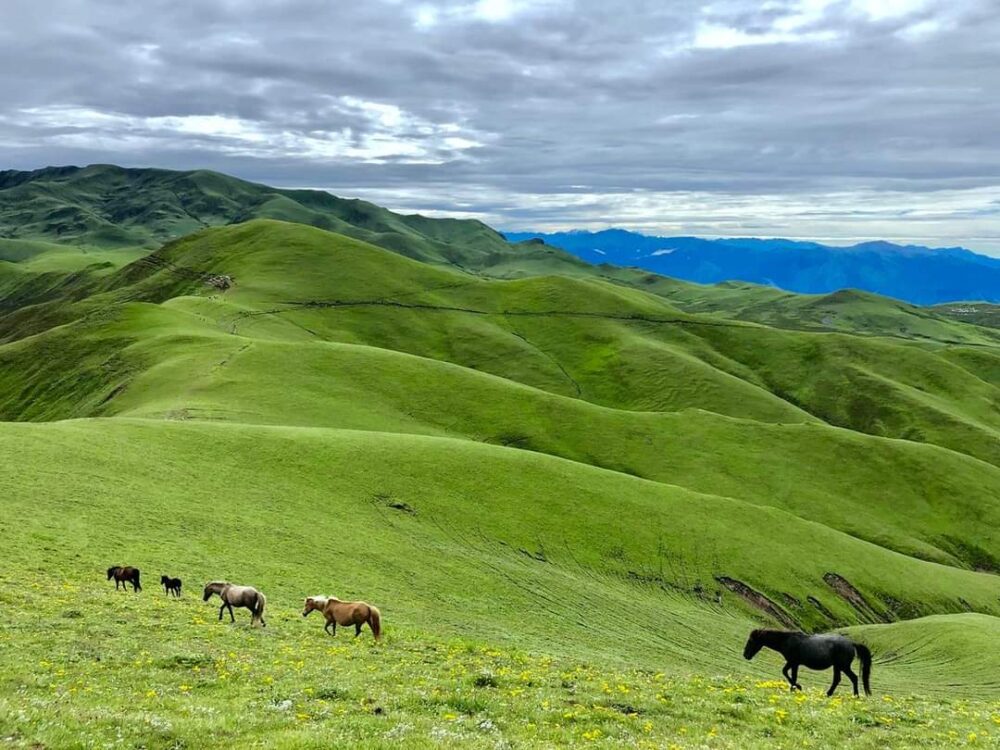 TAAN explores Badi Malika area in Bajura - Breakfree Adventures